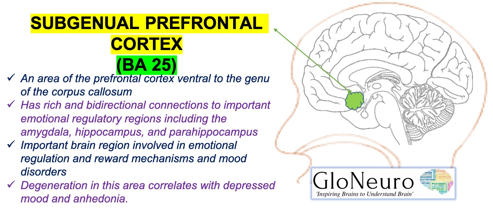 Nature Deficit Disorder – Why Re-connecting adults to the natural world ...