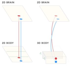 Decoding the Mystery: Why Our Brain and Body Connections are ...