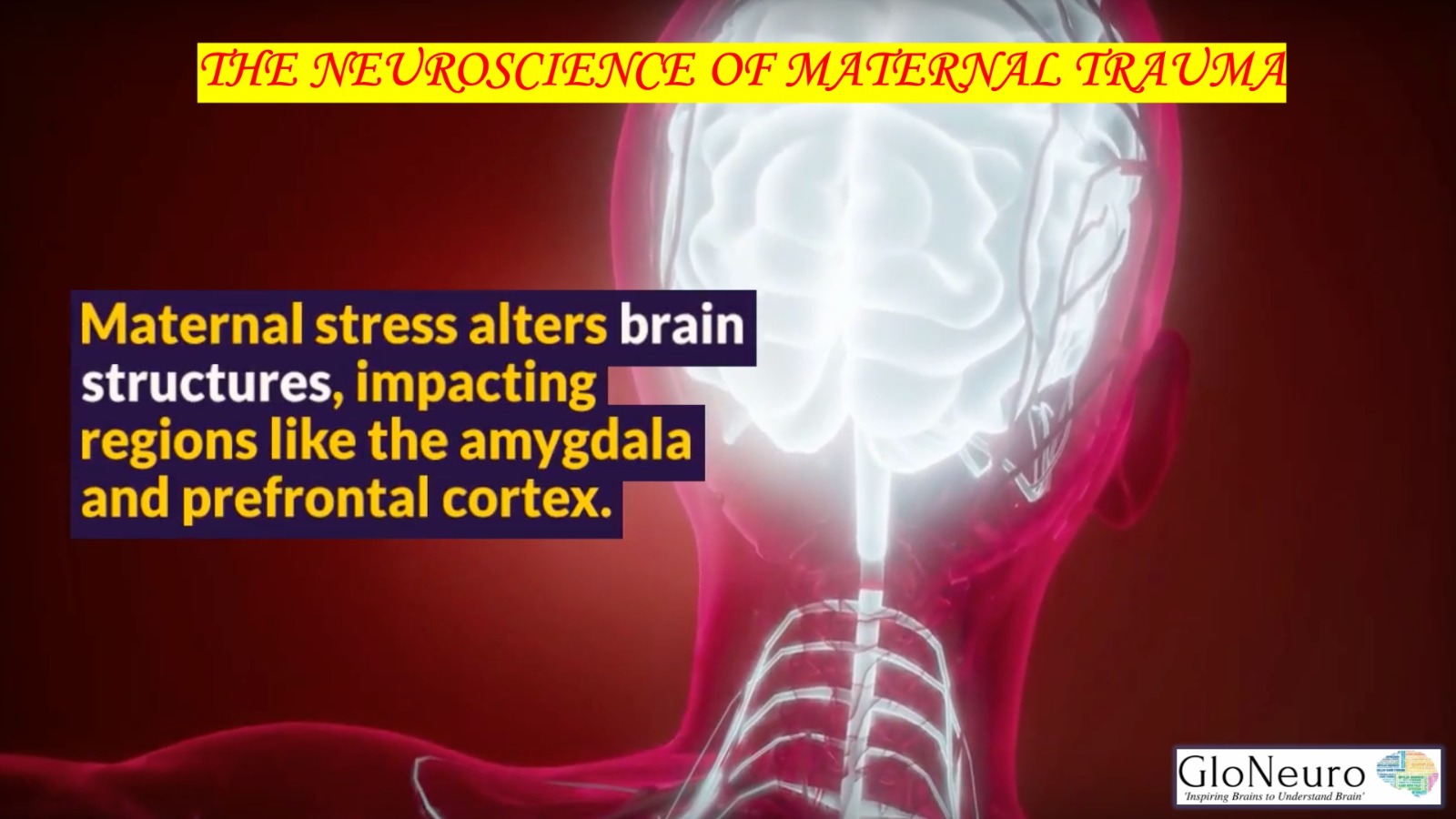 Maternal Trauma Leaves an Imprint: Unraveling the Neuroscience of Long ...