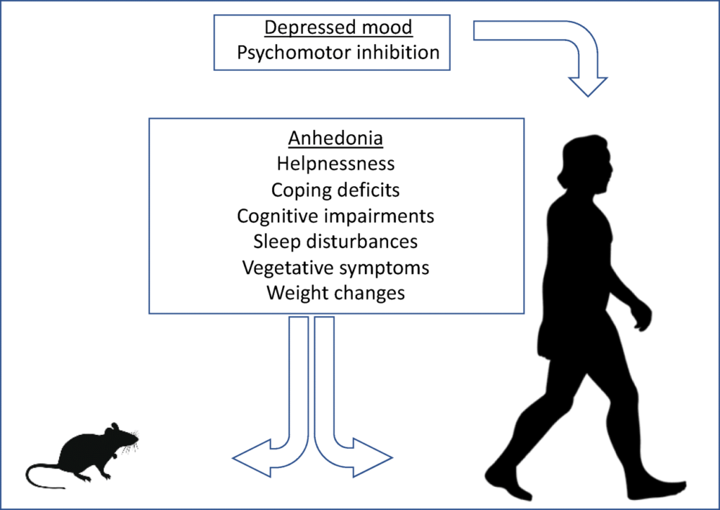 Machines don’t understand emotions…or do they? Depression diagnosis in ...